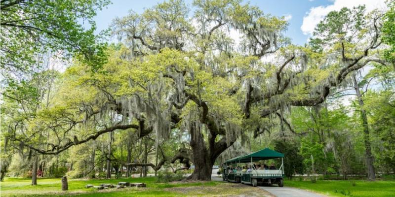 Sensory Friendly Hour Charleston Grit Charleston Sc